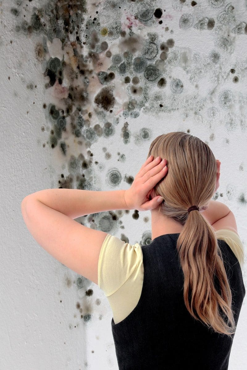 how-to-remove-mold-from-drywall - DAMPSERVE