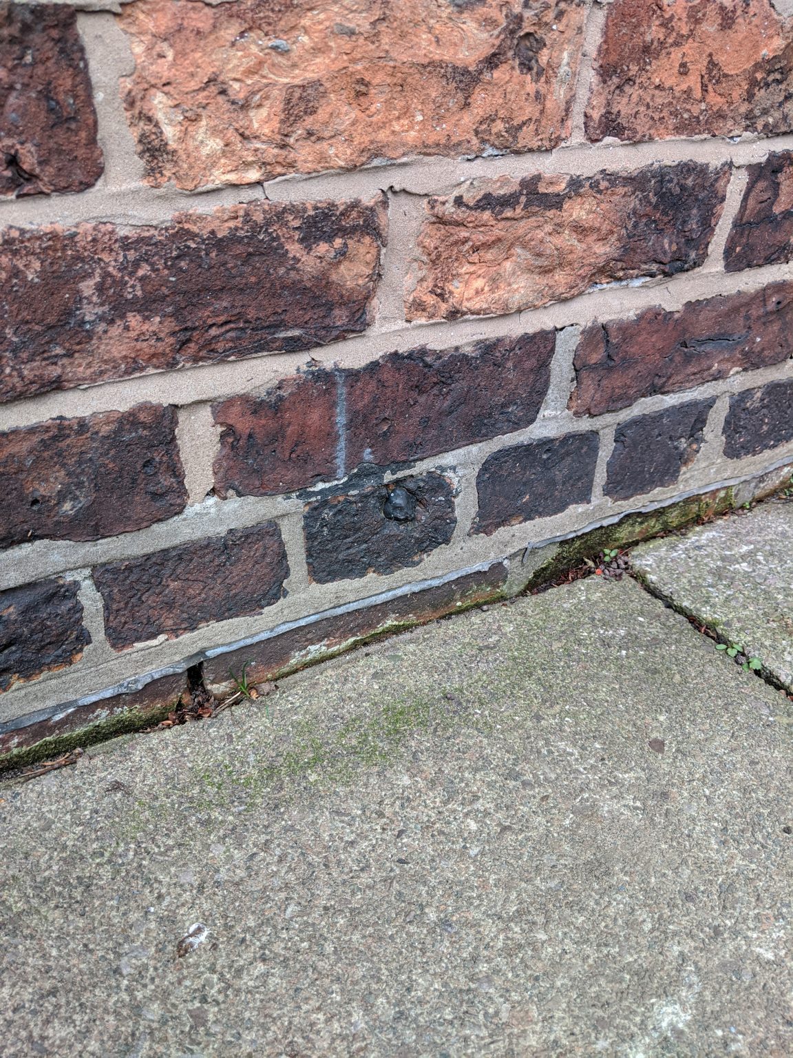 damp-proof-course-rising-damp-myth-dampserve